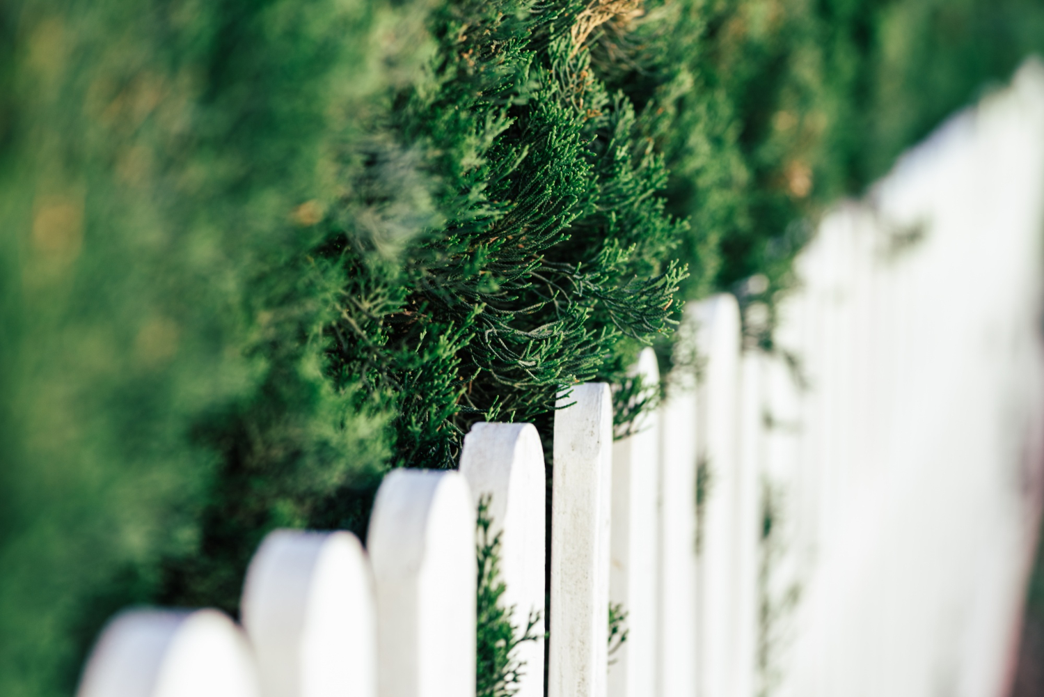 Year-Round Benefits: Vinyl Fencing - Platinum Stucco